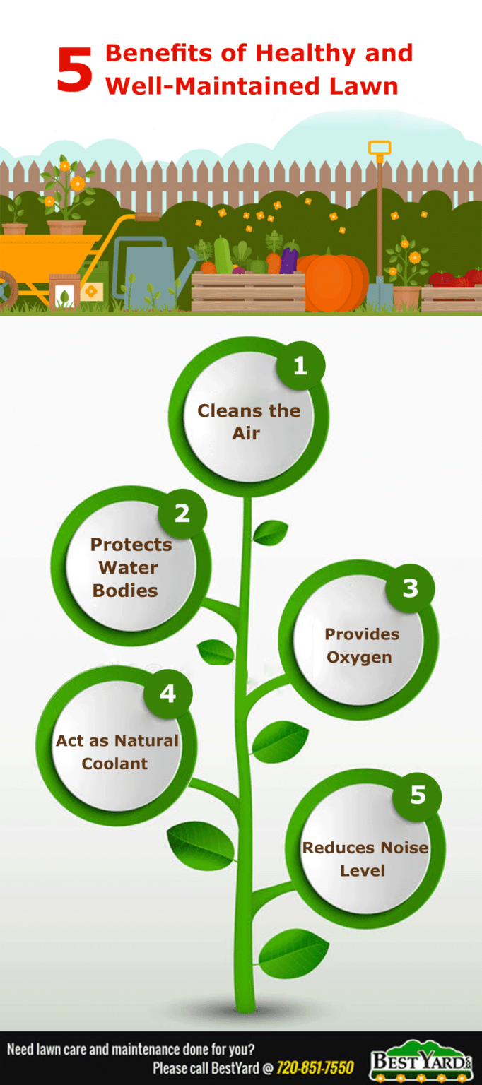 5 benefits of healthy, well maintained lawn to you and your family ...