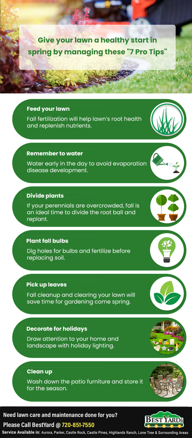 Give your lawn a healthy start in spring