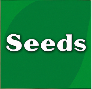 Seed Buying Tips: When and How Much to Order - Bestyard